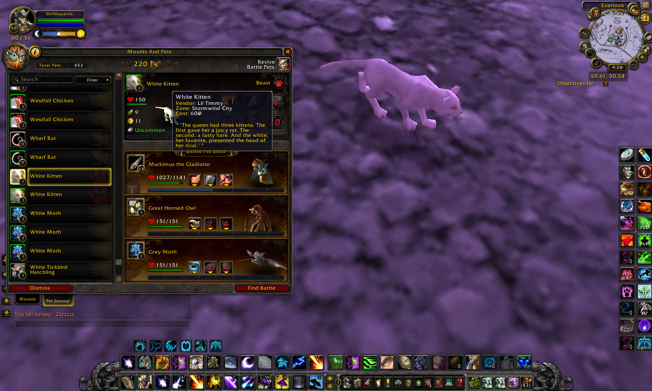 WOW Companion Collector: White Kitten (uncommon lvl1)
