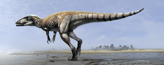 The Dragon's Tales: A New "Megaraptorid" Theropod Found in Albian ...