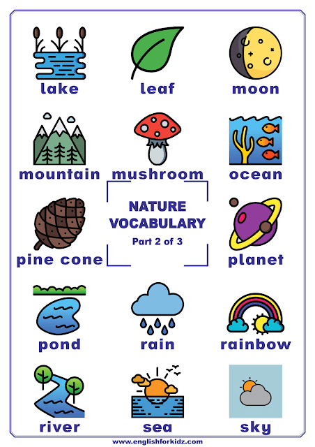 Nature Vocabulary Posters