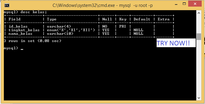 Cara Membuat Tabel Pada DataBase di CMD - Try Now