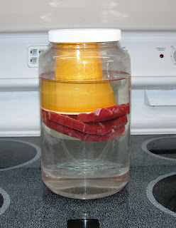 Living Prepared ---: Brine Salt Preserving Meat for the Long Term