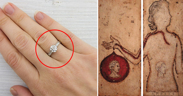 Why Are Wedding Rings Worn on the Fourth Finger of the Left Hand? FIND ...