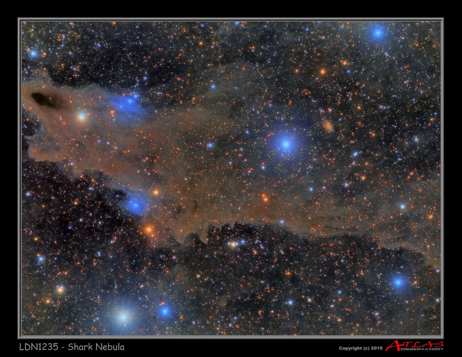 ATLAS OBSERVATORY : LDN 1235 - Shark Nebula