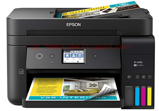 7 Printer Terbaik Cocok Untuk Usaha Kecil-kecilan - Ninna Wiends