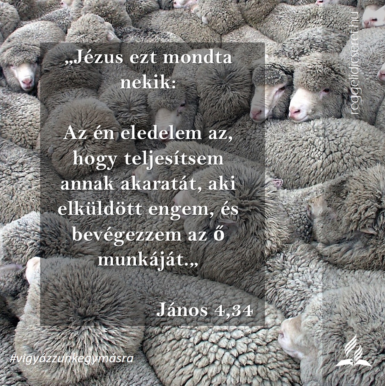 Jézus Isten akarata szerint cselekedett...