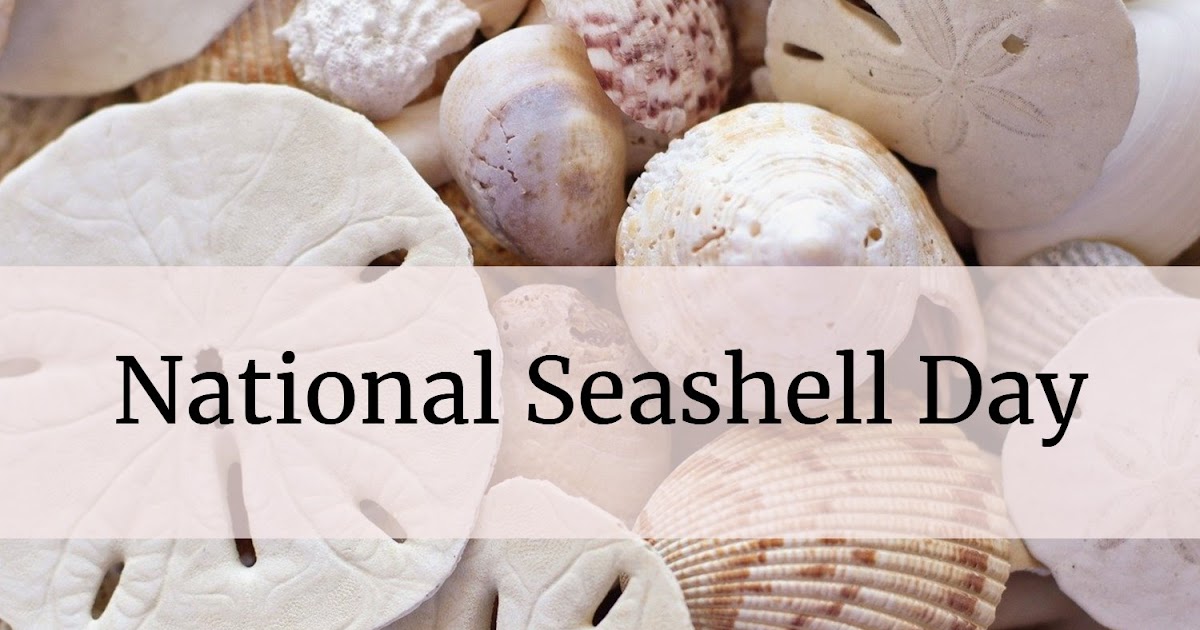 Holidays Big and Small: National Seashell Day