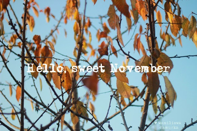 Hello, sweet November. Czekoladowa rolada z bananem. | Waniliowa Chmurka