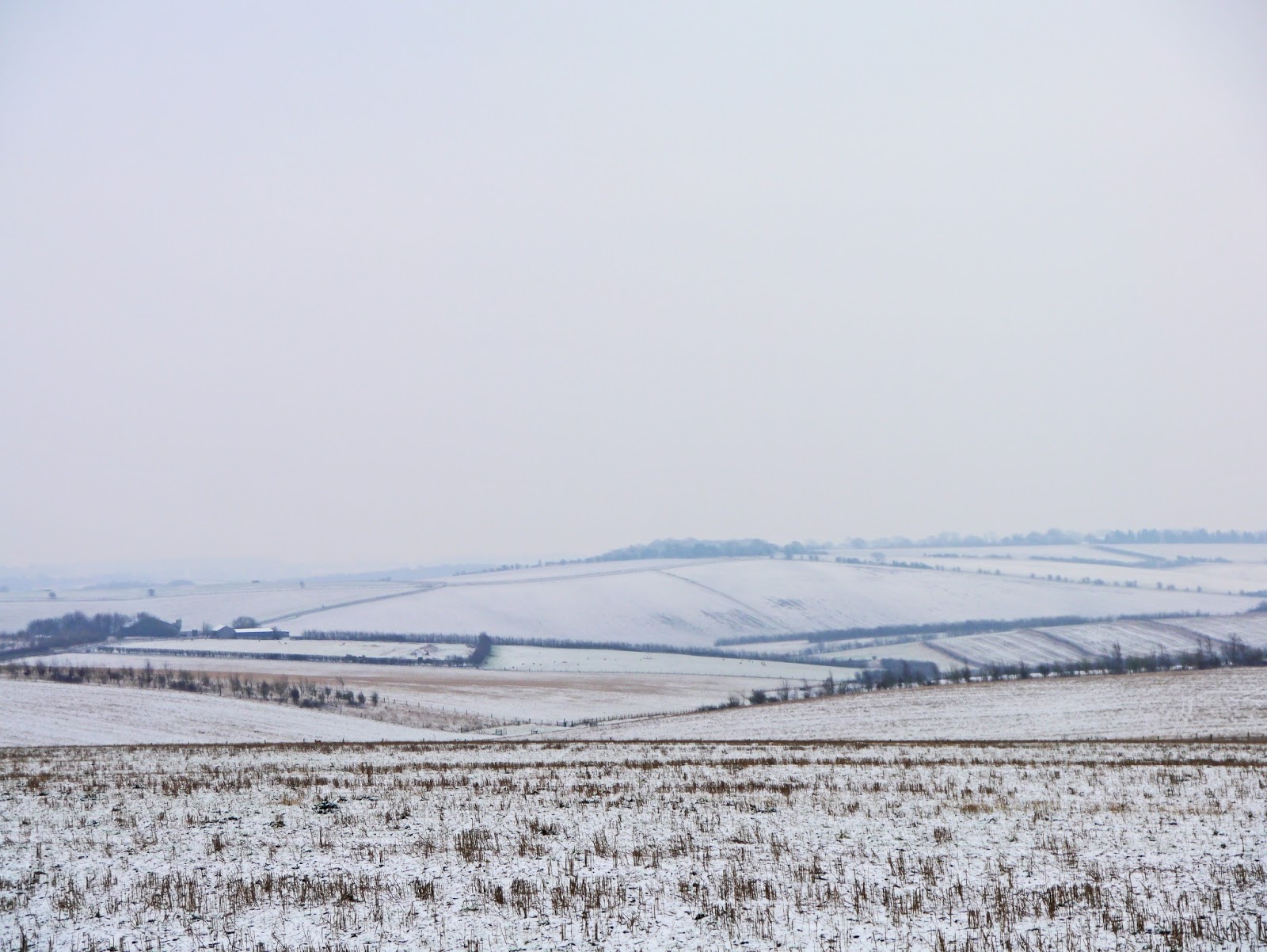 Walk the Landscape News: Winter along the Ridgeway National Trail