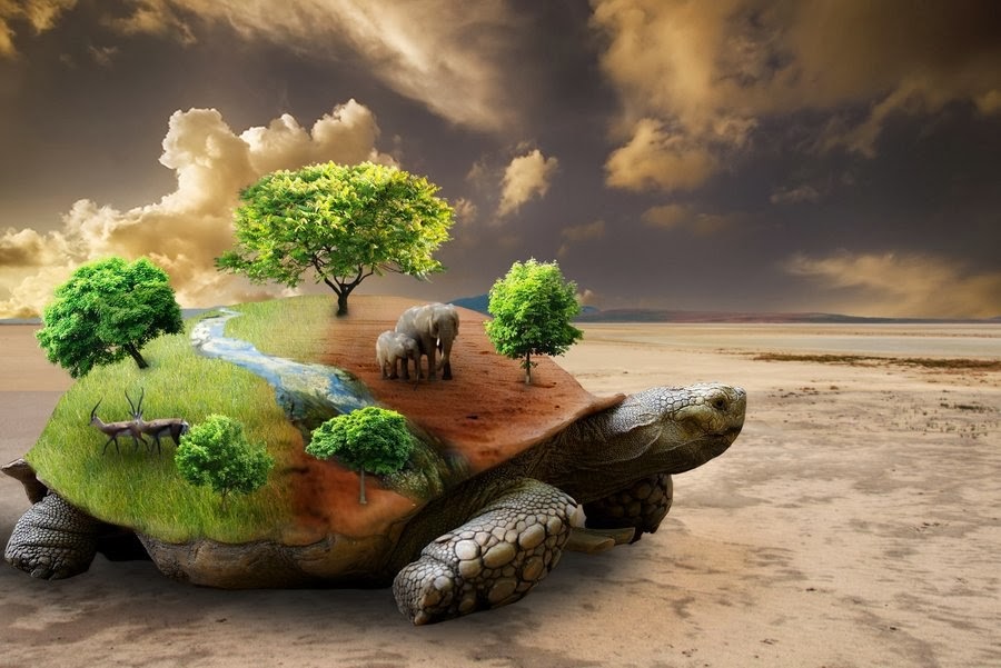 67 Not Out: The Tortoise And The Big Crunch Prior To The End Of The ...