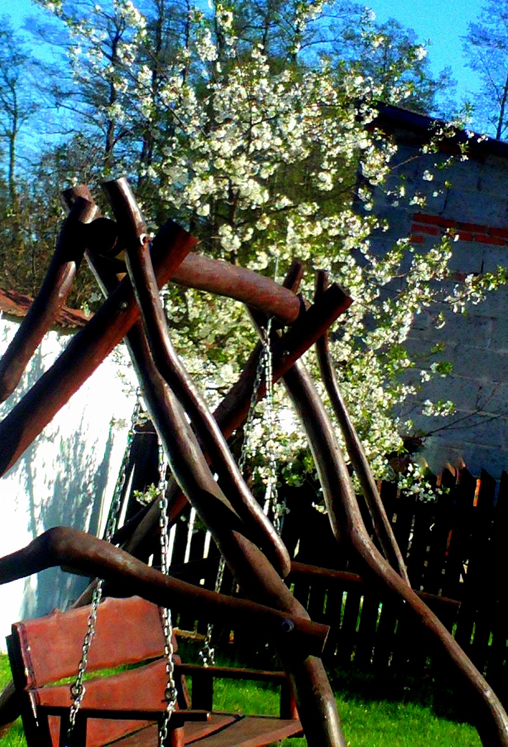 Rarossa: WIOSNA W OGRODZIE