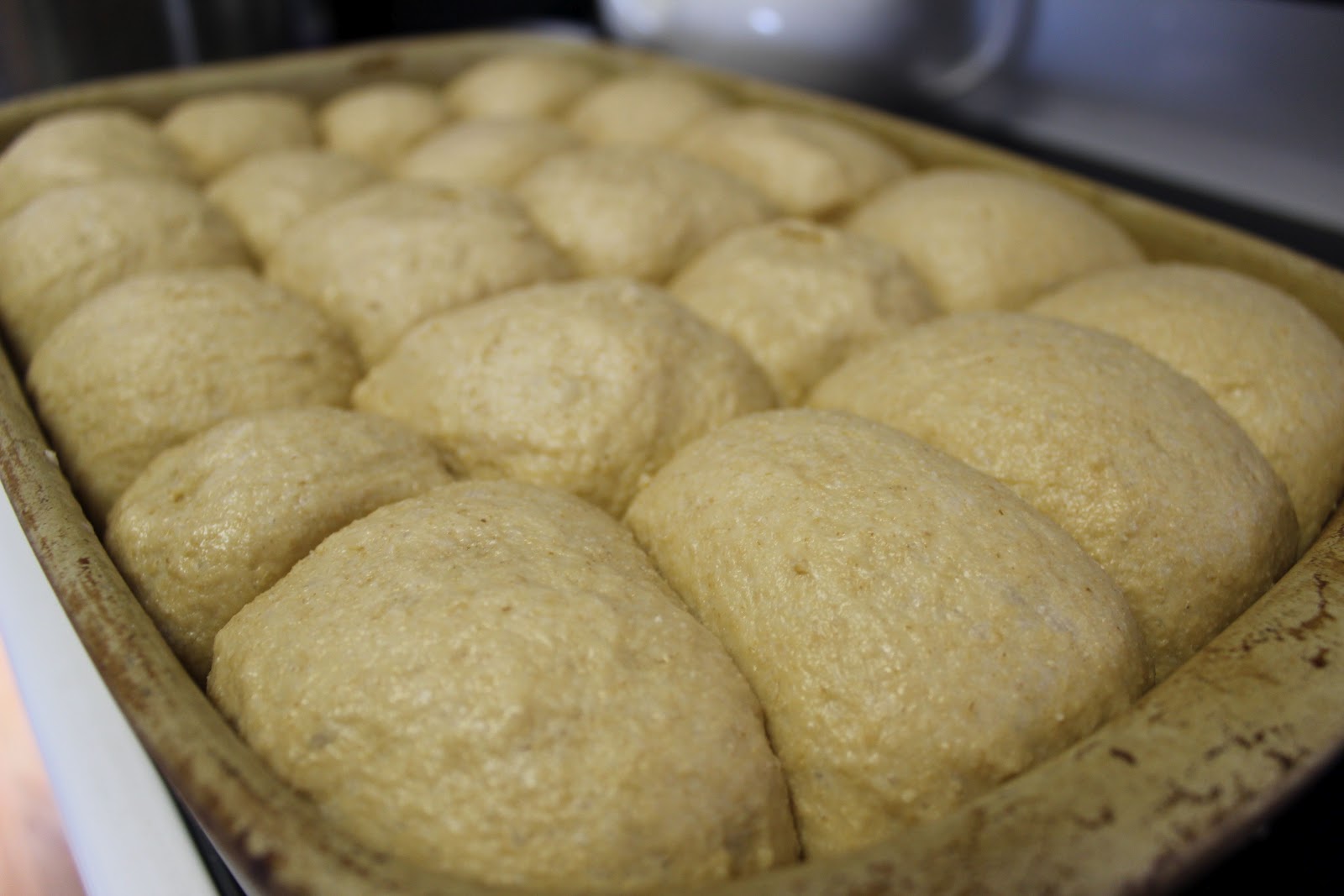 Homestead Roots: Light and Fluffy Pie Plate Rolls Recipe with fresh ...
