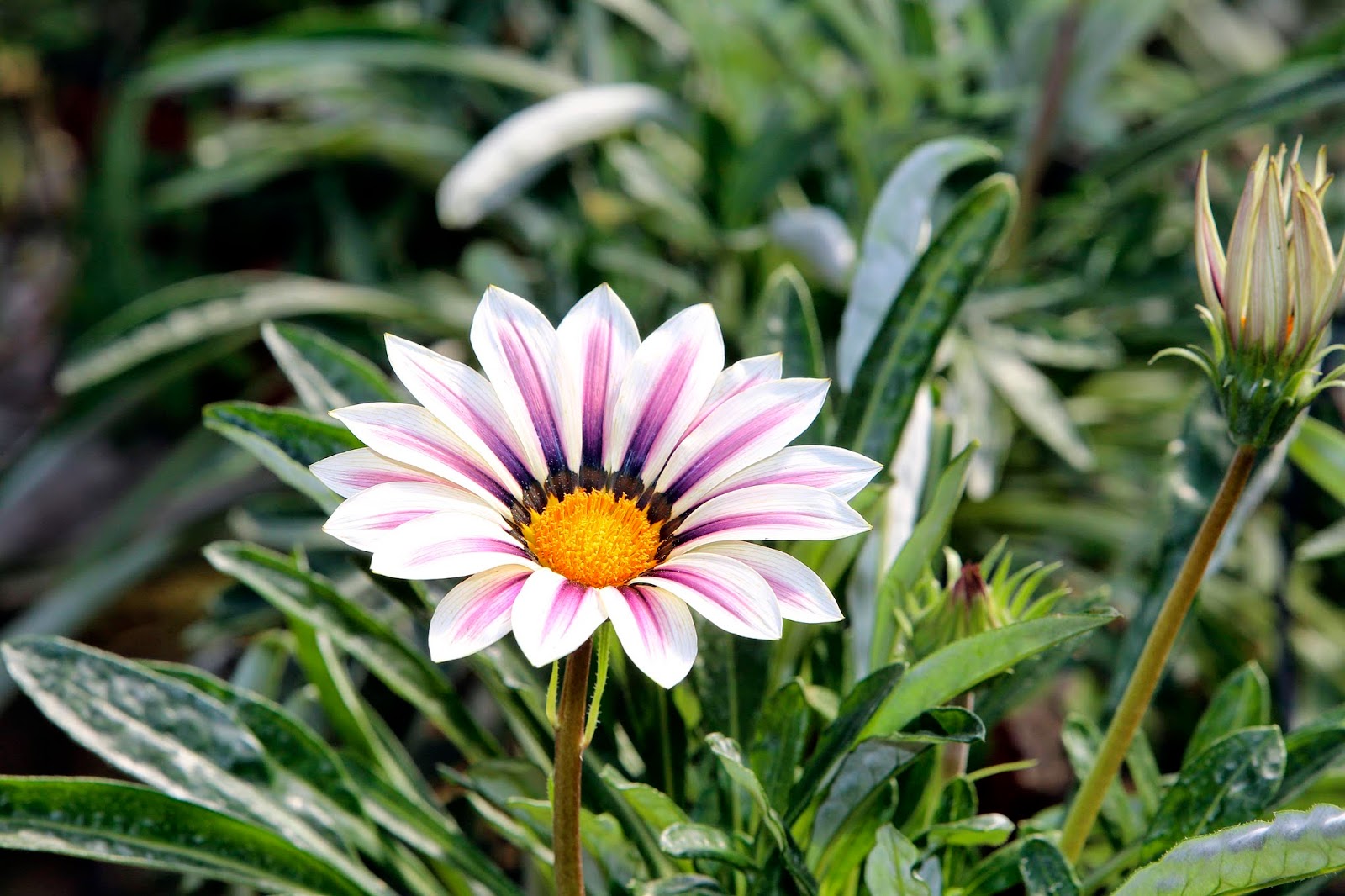 Circulando na Vila : Joinville está entre os principais produtores de ...