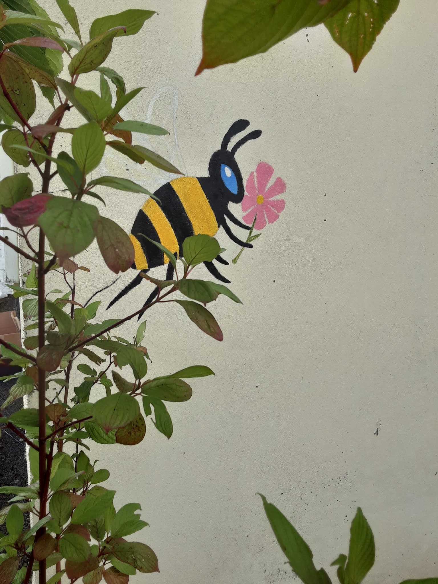 Bee Mural - Sligo Community Training Centre