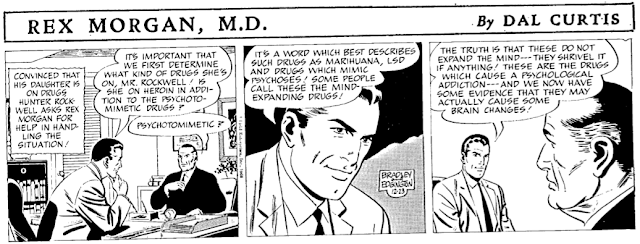 In Search of Rex Morgan, MD: 1968 Comic Strips: A Summary