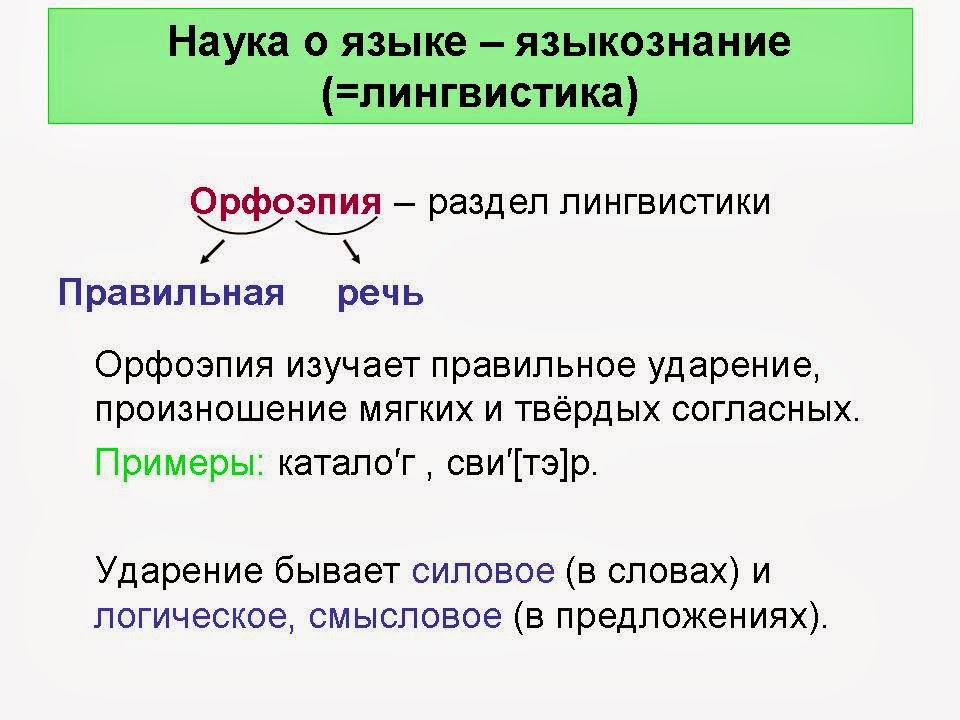 Словарный Диктант 6 Класс Русский Язык - astspb