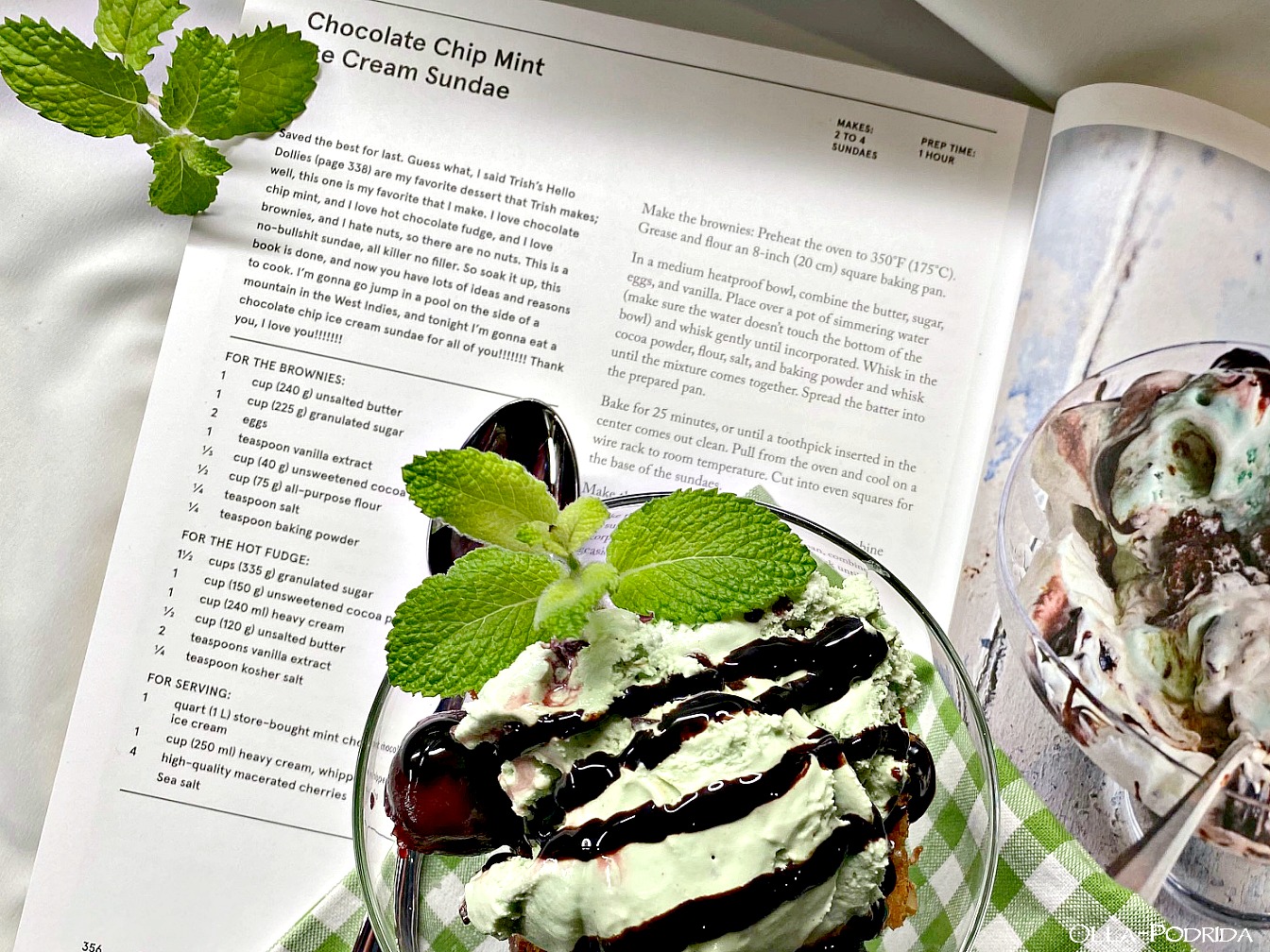 Olla-Podrida: Chocolate Chip Mint Ice Cream Sundae