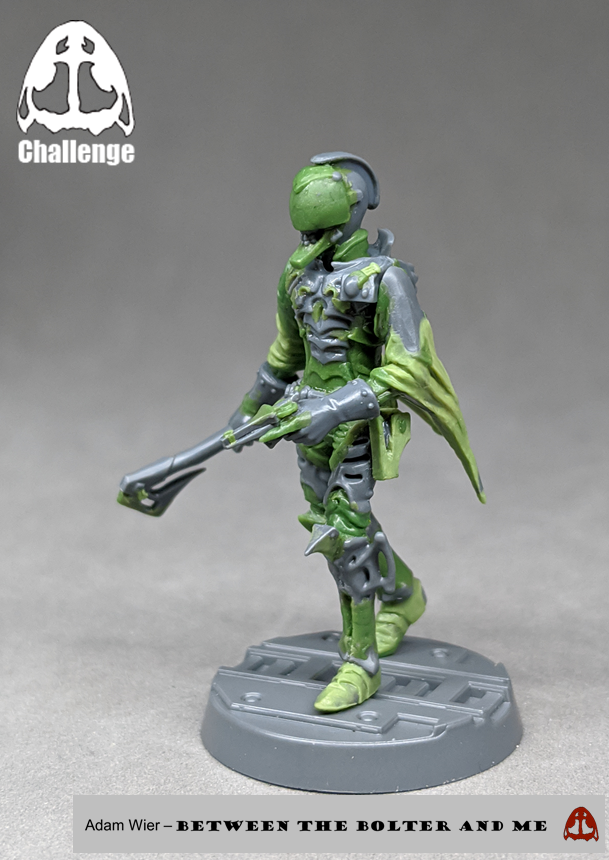 Between the Bolter and Me: Ossiarch Bonereaper Challenge: Eldar ...