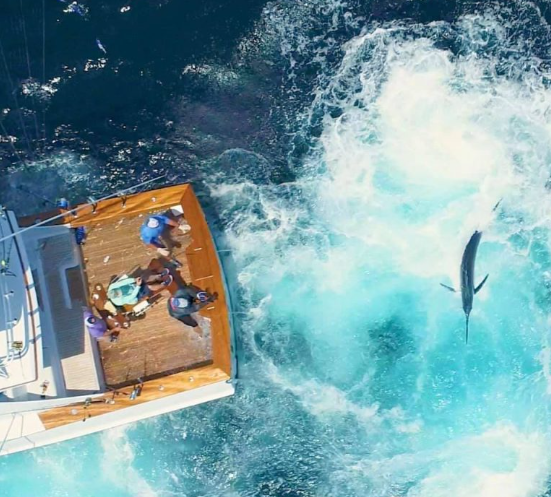 Michael Jordan catches 442-lb huge blue marlin in fishing tournament ...