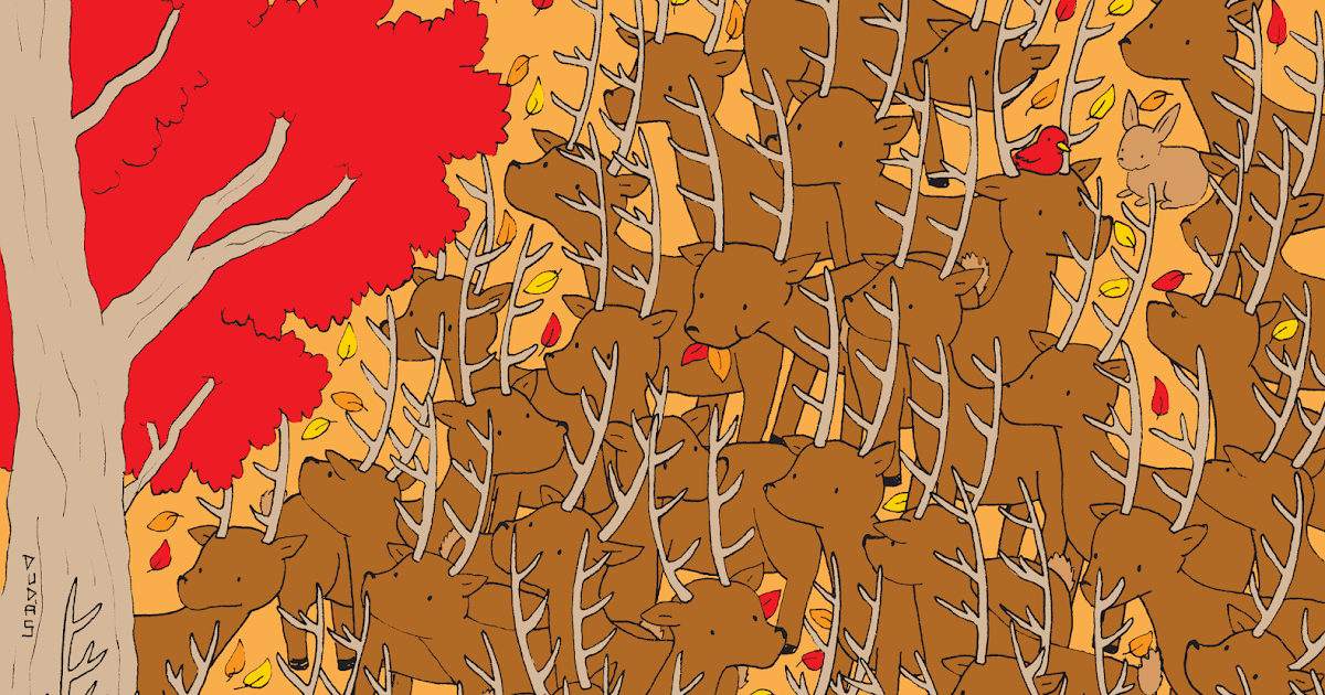 Gergely Dudás - Dudolf: Can You find the DOE among the stags?