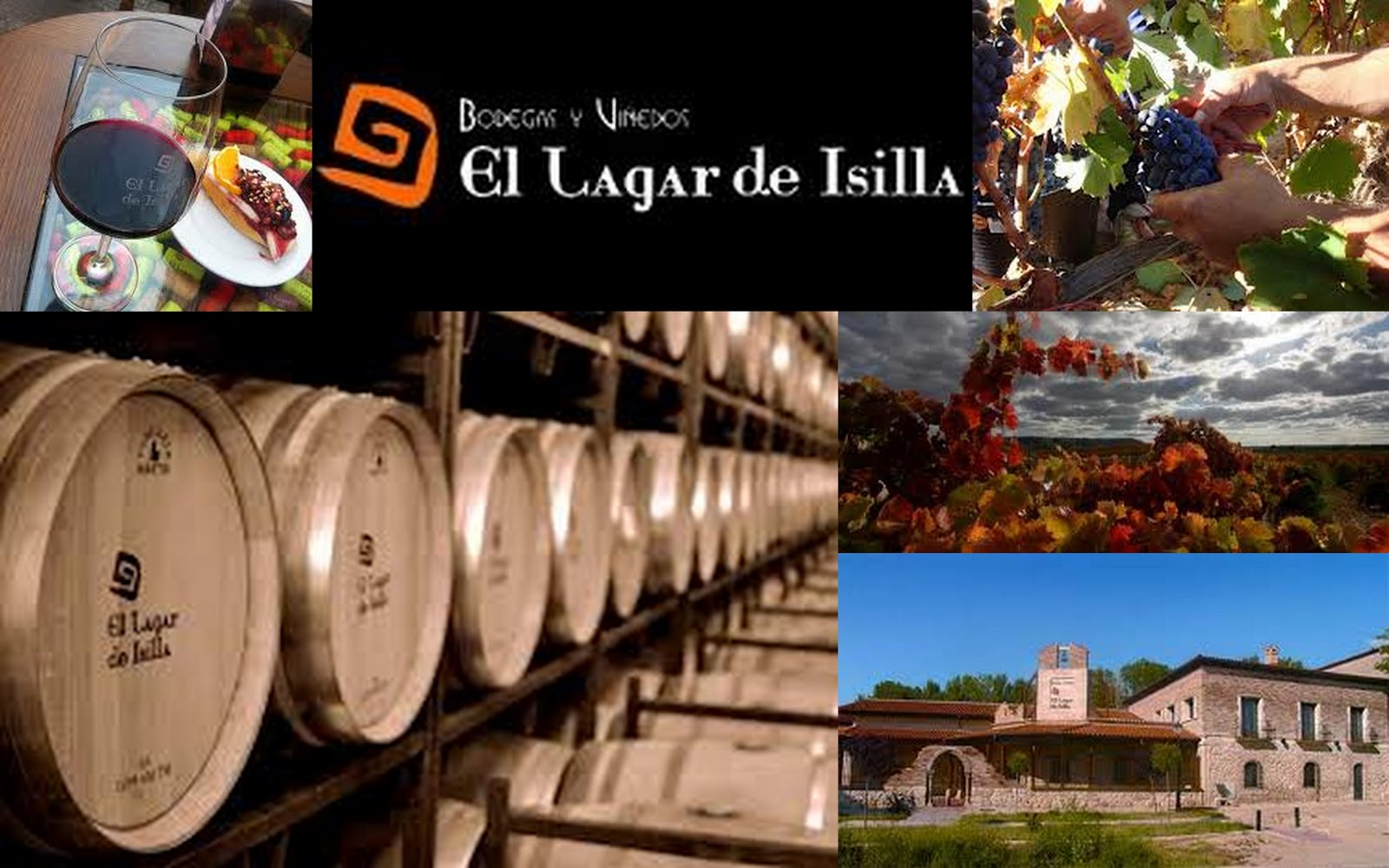 bodegas archivos - ENTRECEPAS