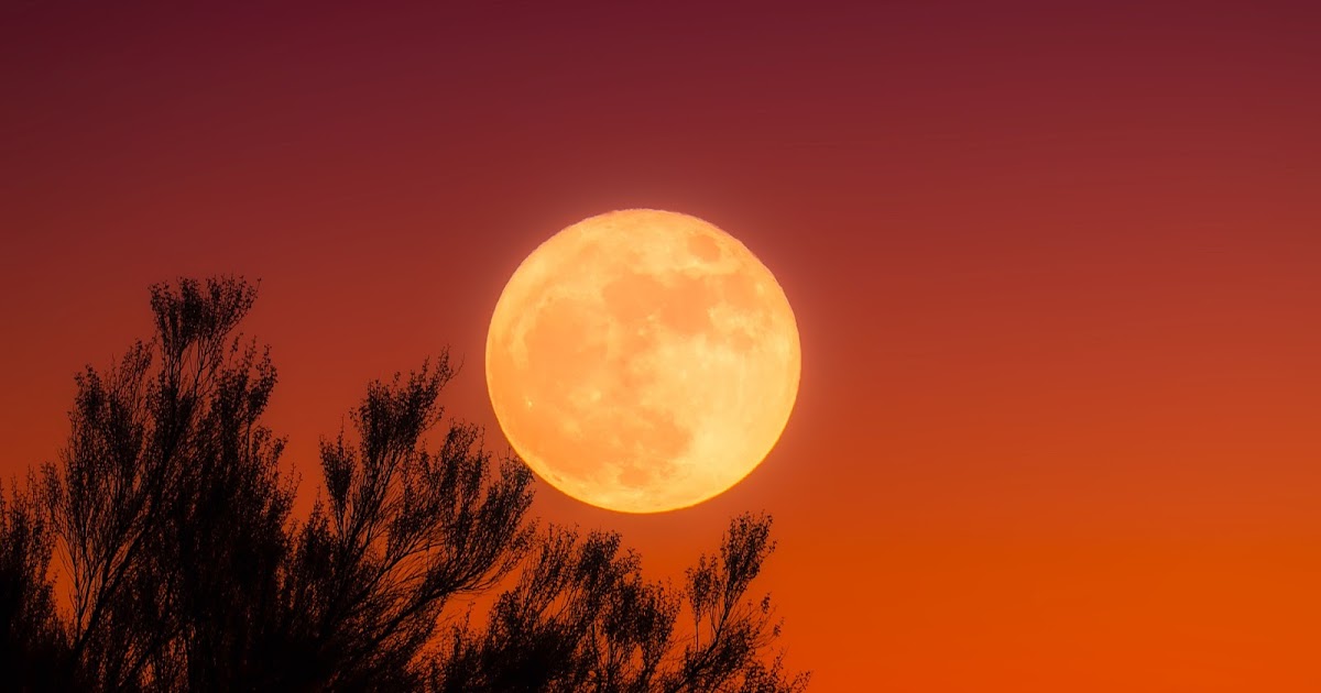 Lightworkers on Earth: Full Moon Ho'oponopono : A Message from the Angels
