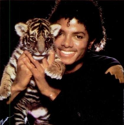 Michael Jackson's Tiger Dies Of Lung Cancer - NaijaGists.com ...