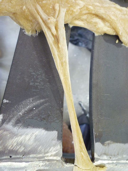 Sue Beveridge's Blog