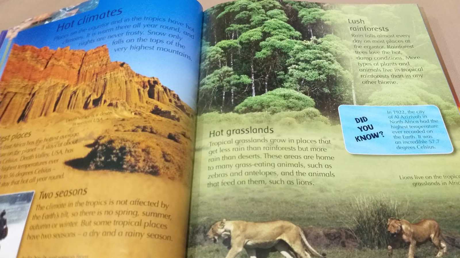 Kid Books Blog: 757.My First Planet Earth Encyclopedia