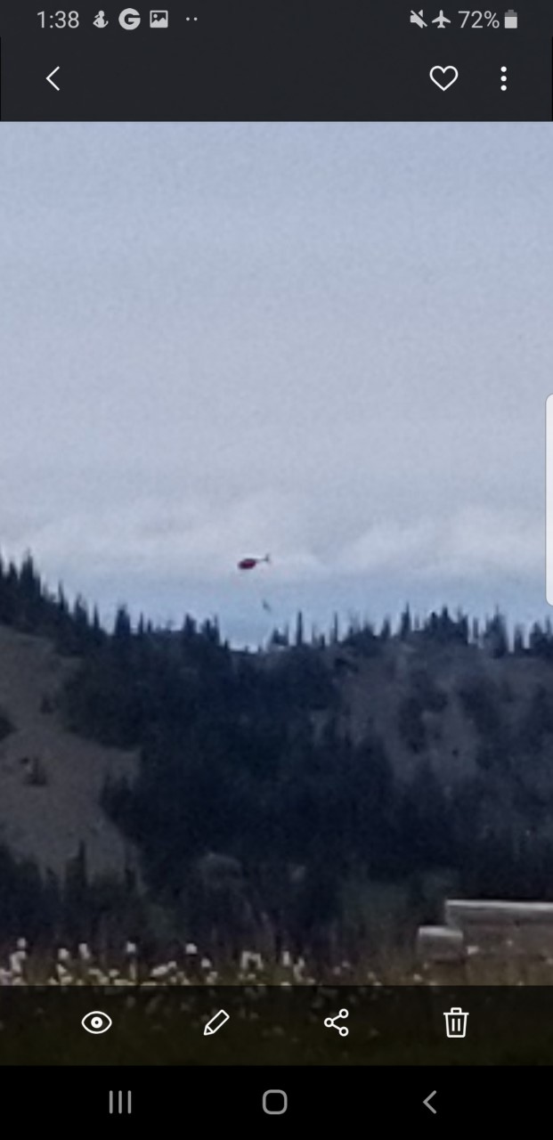 When Goats Fly: Olympic National Park