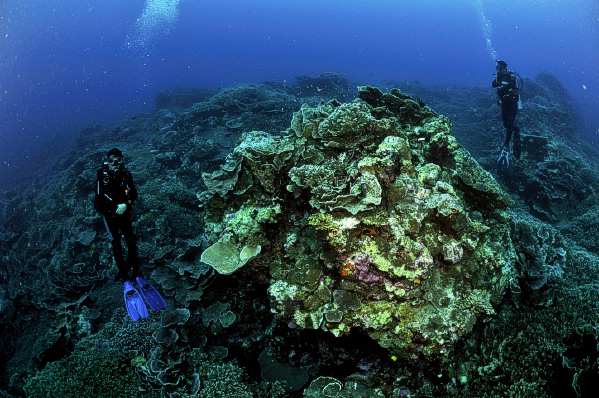 Banda Neira : One of the best dive spots in the world
