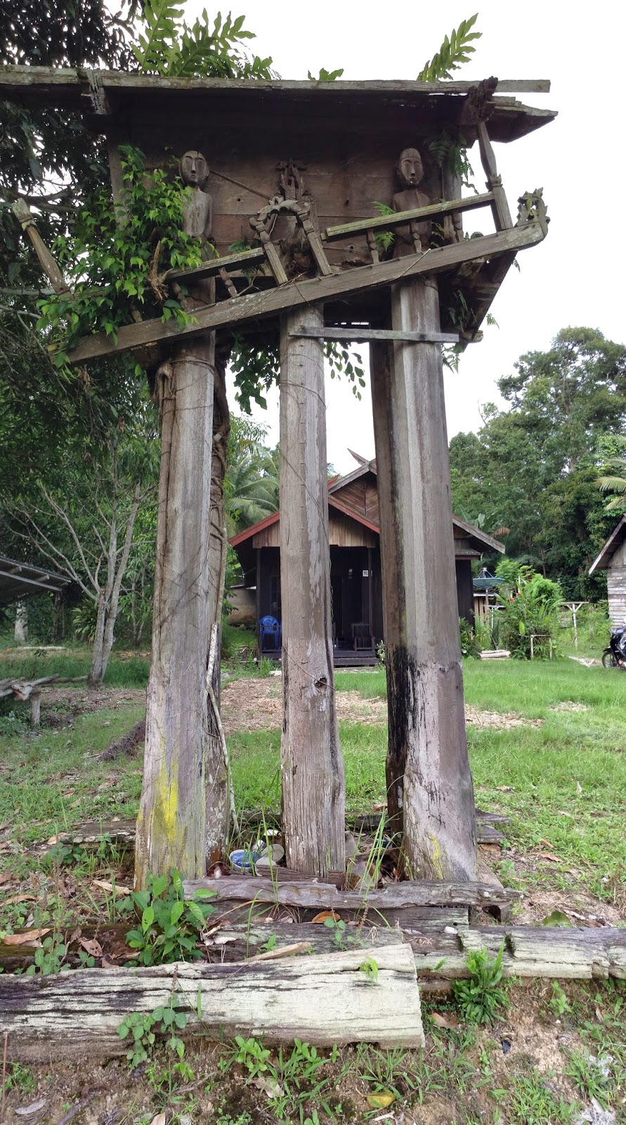 Kalimantan Tengah: Berburu Sandung di Pangkoh Hilir