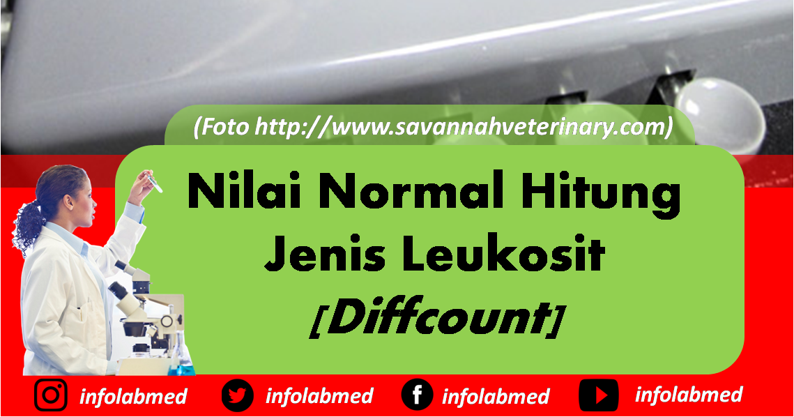 Nilai Normal Hitung Jenis Leukosit [Diffcount]