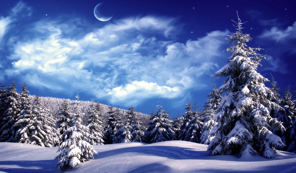 wallpapernarium: Wallpapers de Invierno