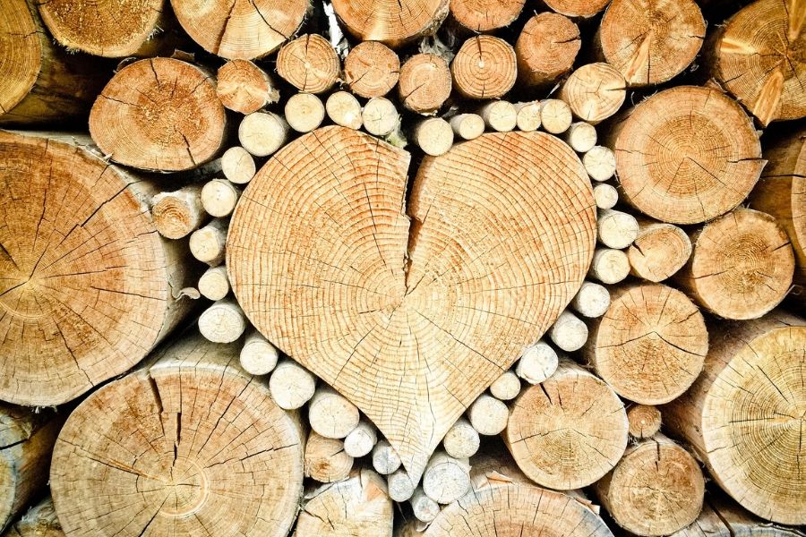 Pickaroon: Purpose & 9 Uses to Know About