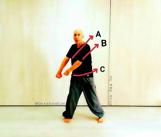 Shin Sen Do / גרשון קום