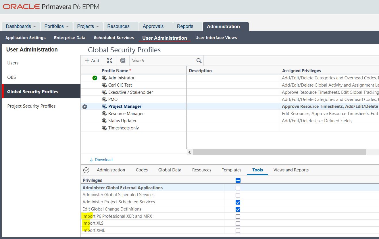 P6blogger: If someone wants to import data into P6, they need a global ...