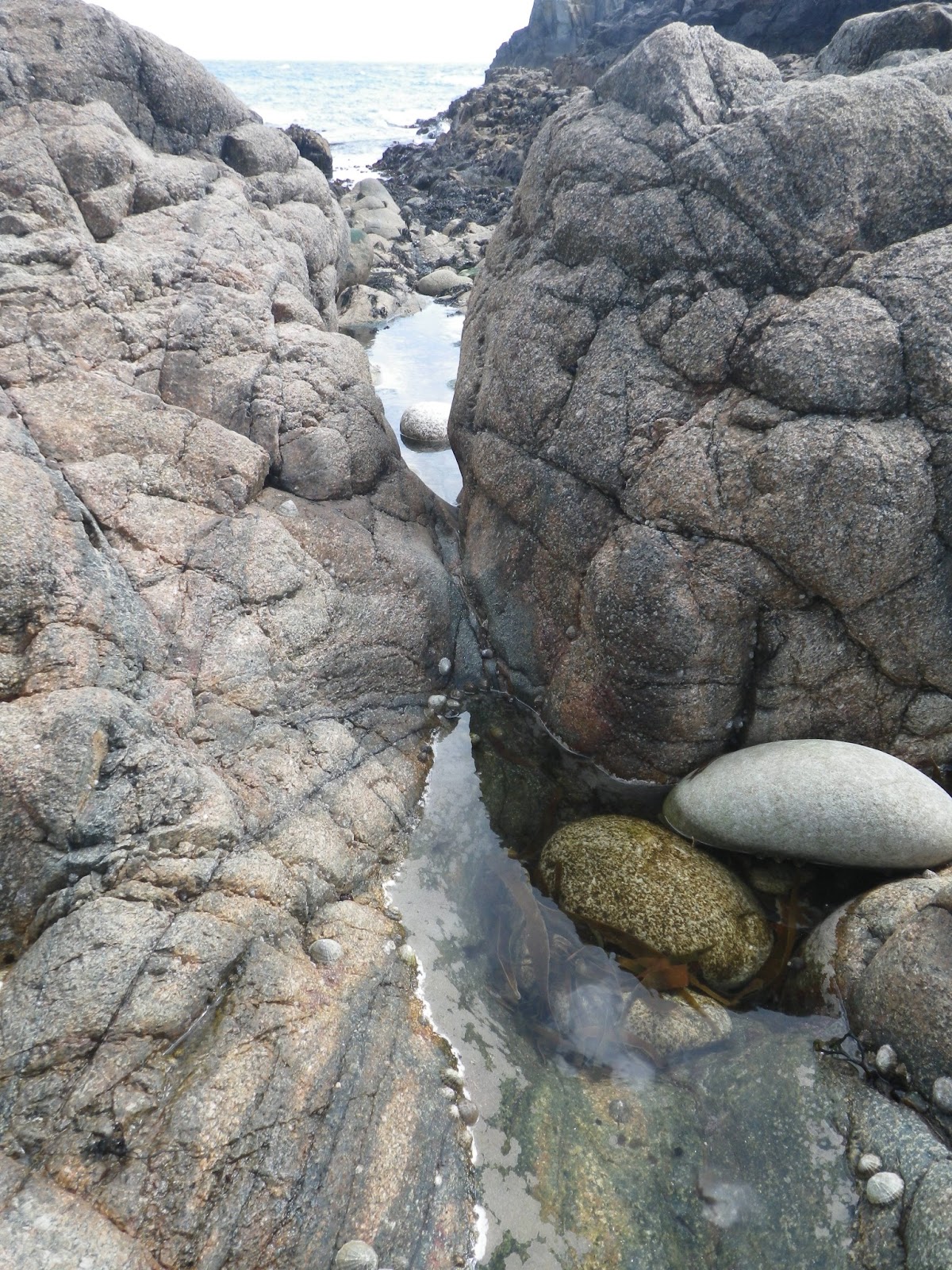 Rock Pooling: Rock pooling destination: White Island, Isles of Scilly