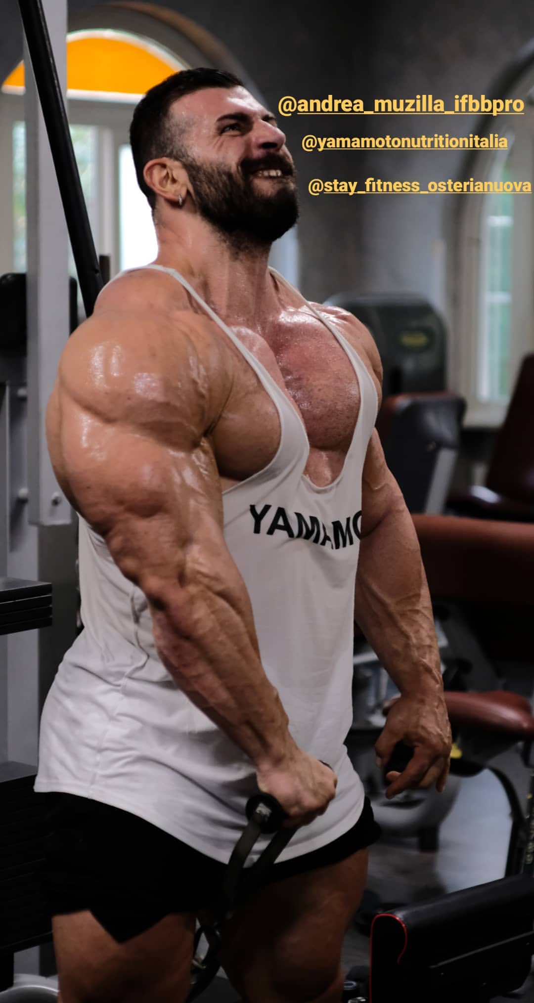 Hola Bodybuilders: Andrea Muzilla IFBB Pro