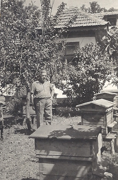 GOSTILELE, STRAVECHE VATRA ROMANEASCA: Memoriu de activitate scolara si ...