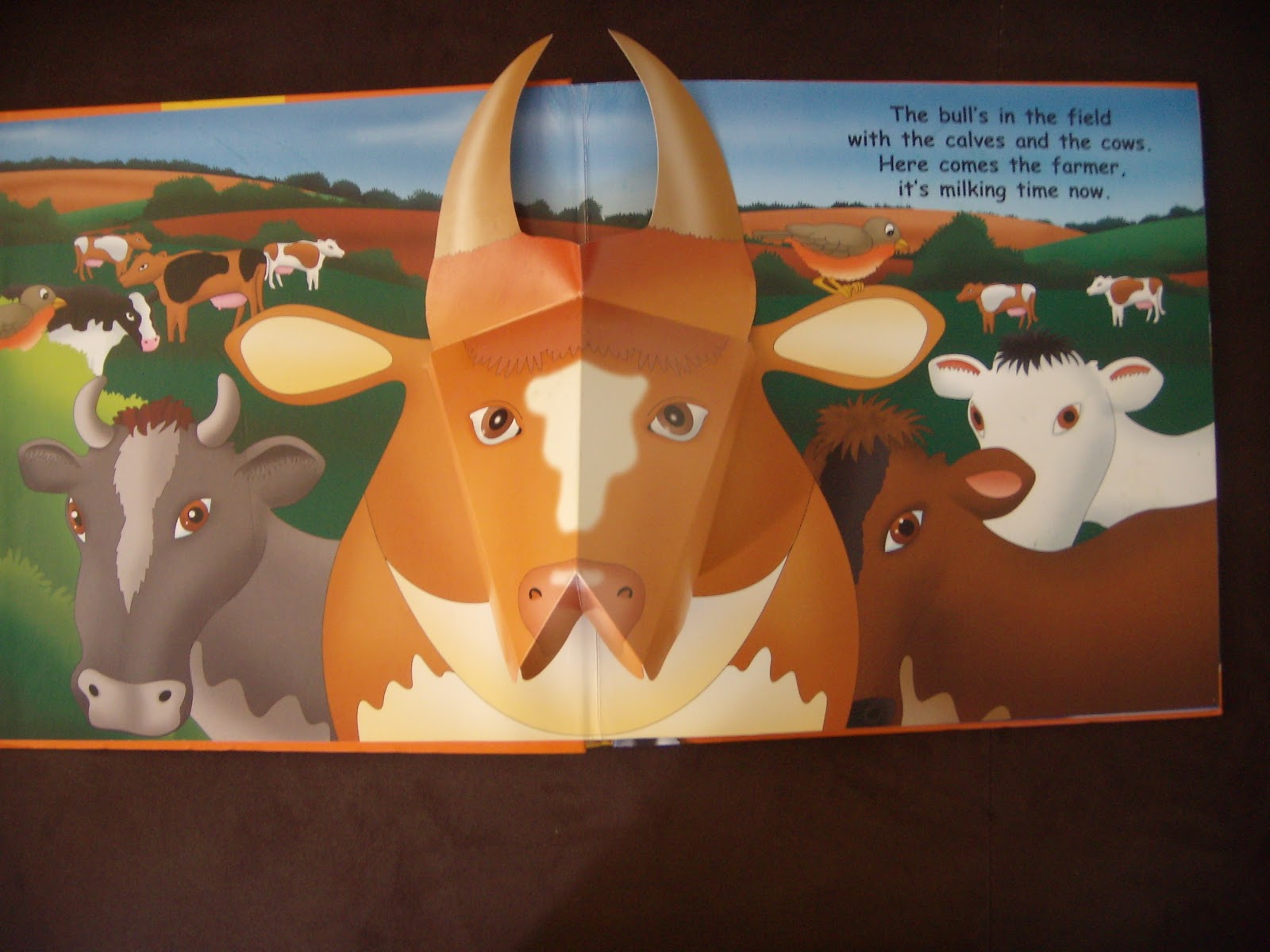 CHILDREN BOOKS FOR YOU: Farm ( pop-up)
