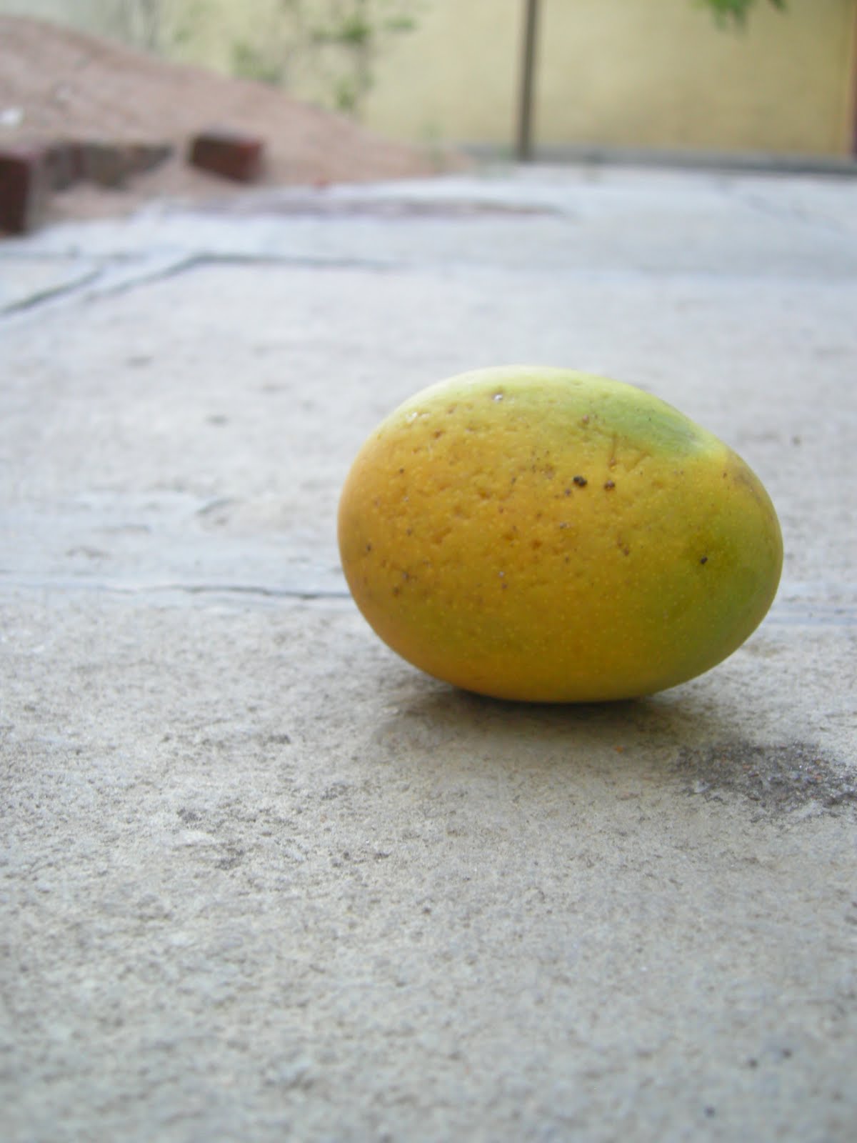 Tiffin Carrier Antic/que's!: Sweet Juicy Mangoes: Sweet and Spicy ...
