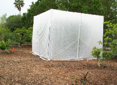 The Farmer Fred® Rant: Could a Cherry Tree Tent be the Answer?