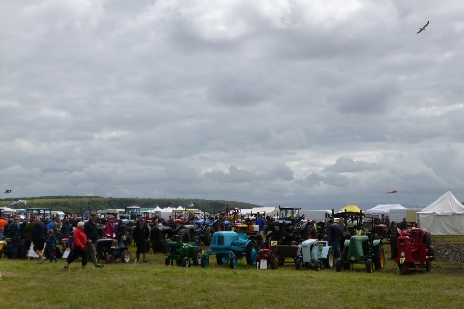 5 Ladybird Lane: Summer Holiday - Snap of the Day (Flookburgh Steam ...