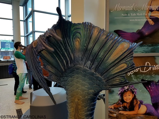 NC MerMania, Greensboro's International Mermaid Convention | Strange ...