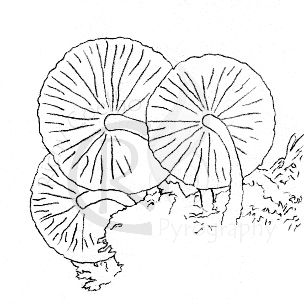 Richy Pyrography: Mushroom Coaster 03