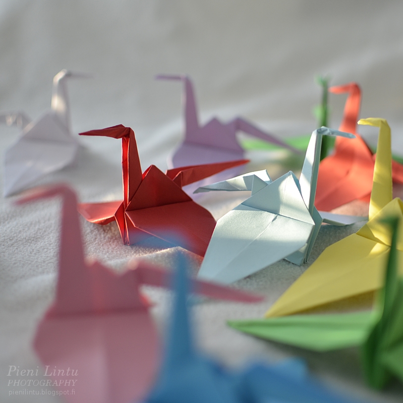 Pieni Lintu: Origami-hulluus ja muuta mukavaa
