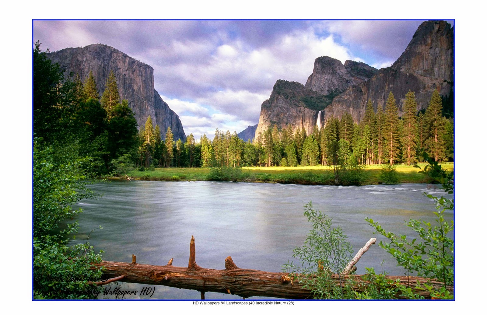 Cine e single si isi cauta iubit/iubita - Single Seeking Single ...