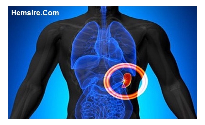 Dalak hastalıkları nelerdir? Tedavi süreçleri nasıldır?