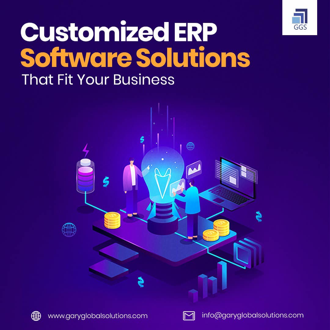 Why Customized ERP Solutions?