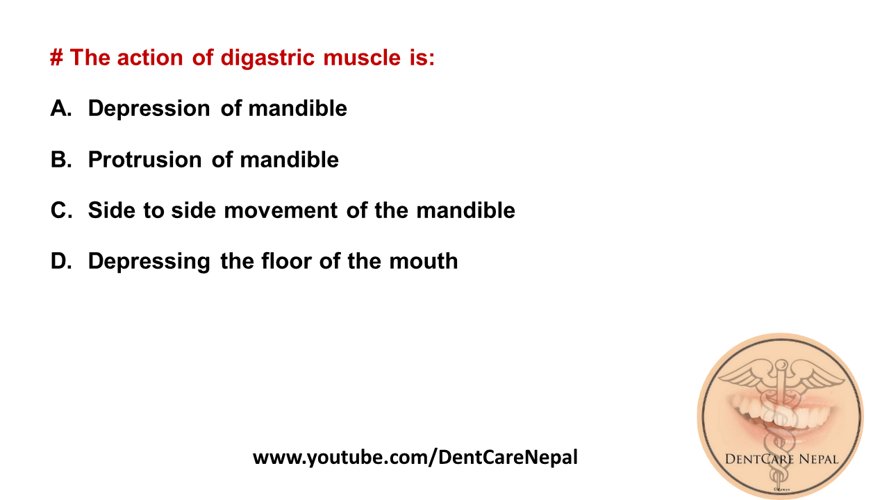 Dentosphere : World of Dentistry: The action of digastric muscle is: